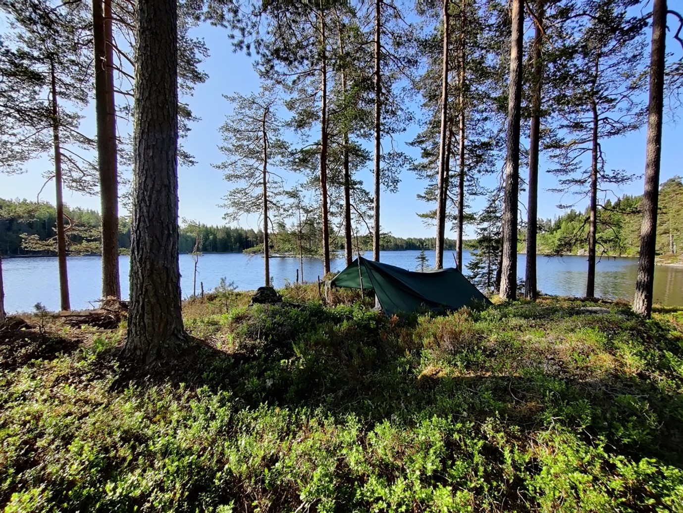 Wilderness trail for leaders in banking who drive the transition in ...